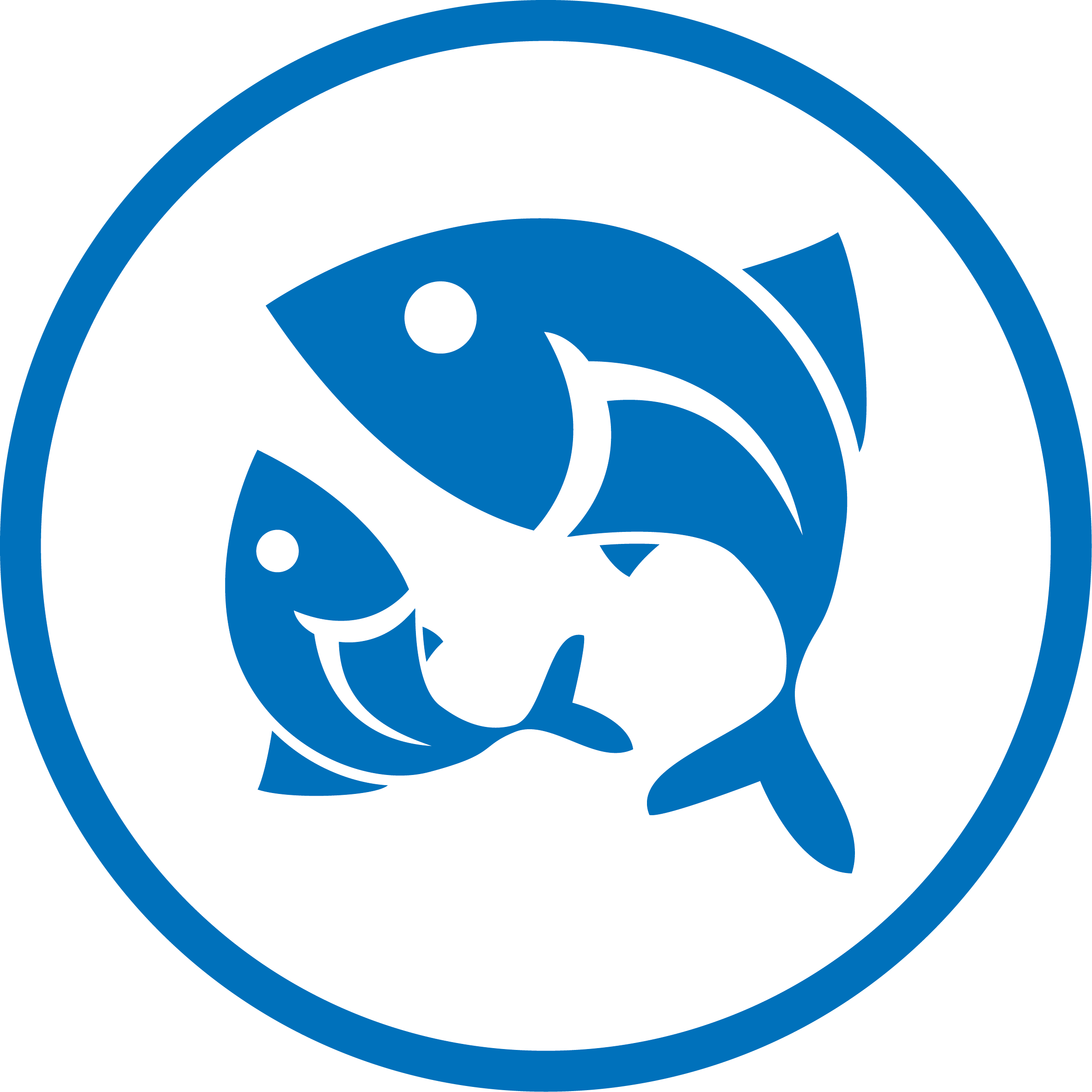 Temporary cold storage for the Fish processing industry | Coolworld